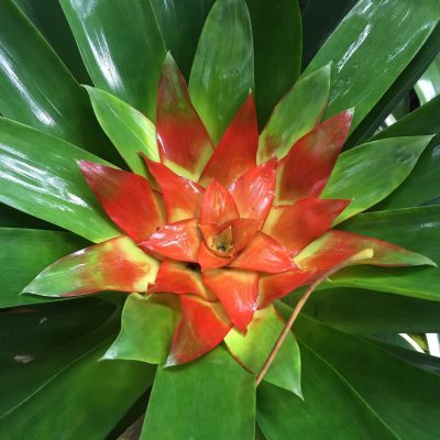 IMG_2425 – Laboratorio de Energía, Medio Ambiente y Arquitectura